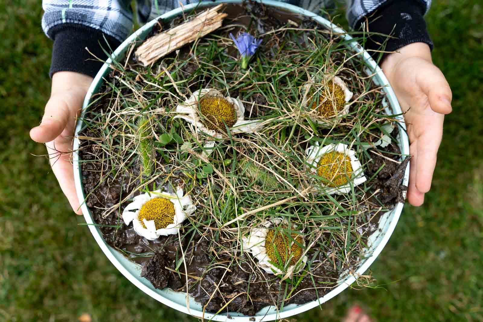 Outdoor Play Cooking: Make a Nature & Mud Pizza - HOAWG®️