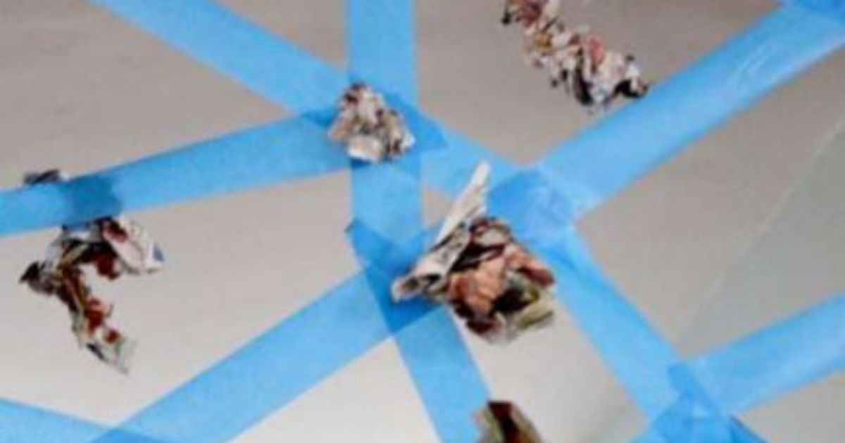 Sticky Spider Web Activity That Is Fun and Simple - HOAWG