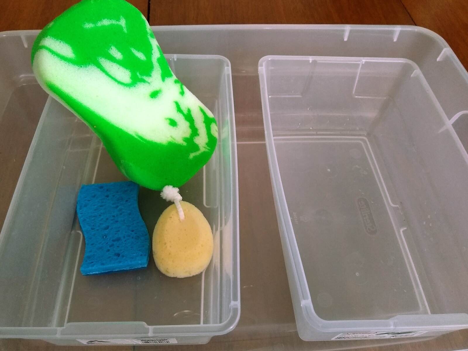 Simple Sponge Squeezing Activity to Increase Hand Grip Strength