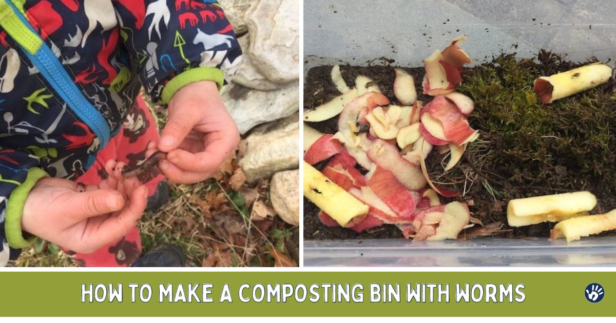How to Make a Composting Bin with Worms - Hands On As We Grow®