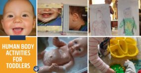 Science Activities for Toddlers to Try - Hands On As We Grow®