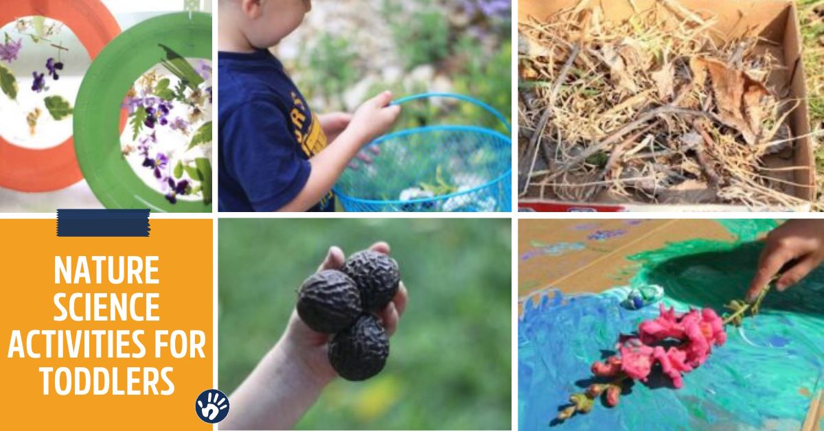 Science Activities for Toddlers to Try - Hands On As We Grow®