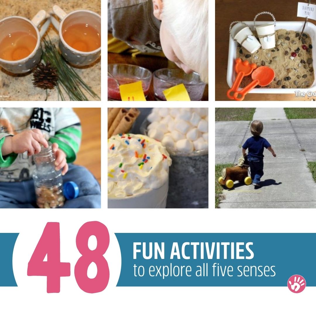 48 Five Senses Activities for Kids to Explore - HOAWG