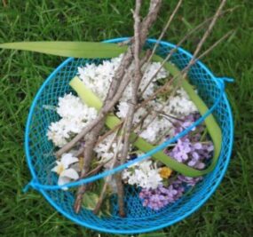 On-The-Fly Outdoor Preschool Nature Scavenger Hunt Using Descriptive Words