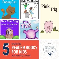 5 Beginning Reader Books for Kids JUST Learning to Read