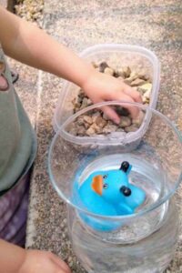 Science Experiments for Kids