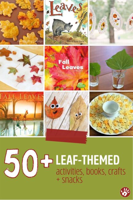 22 Autumn Activities for Toddlers to Enjoy this Fall + Bucket List!